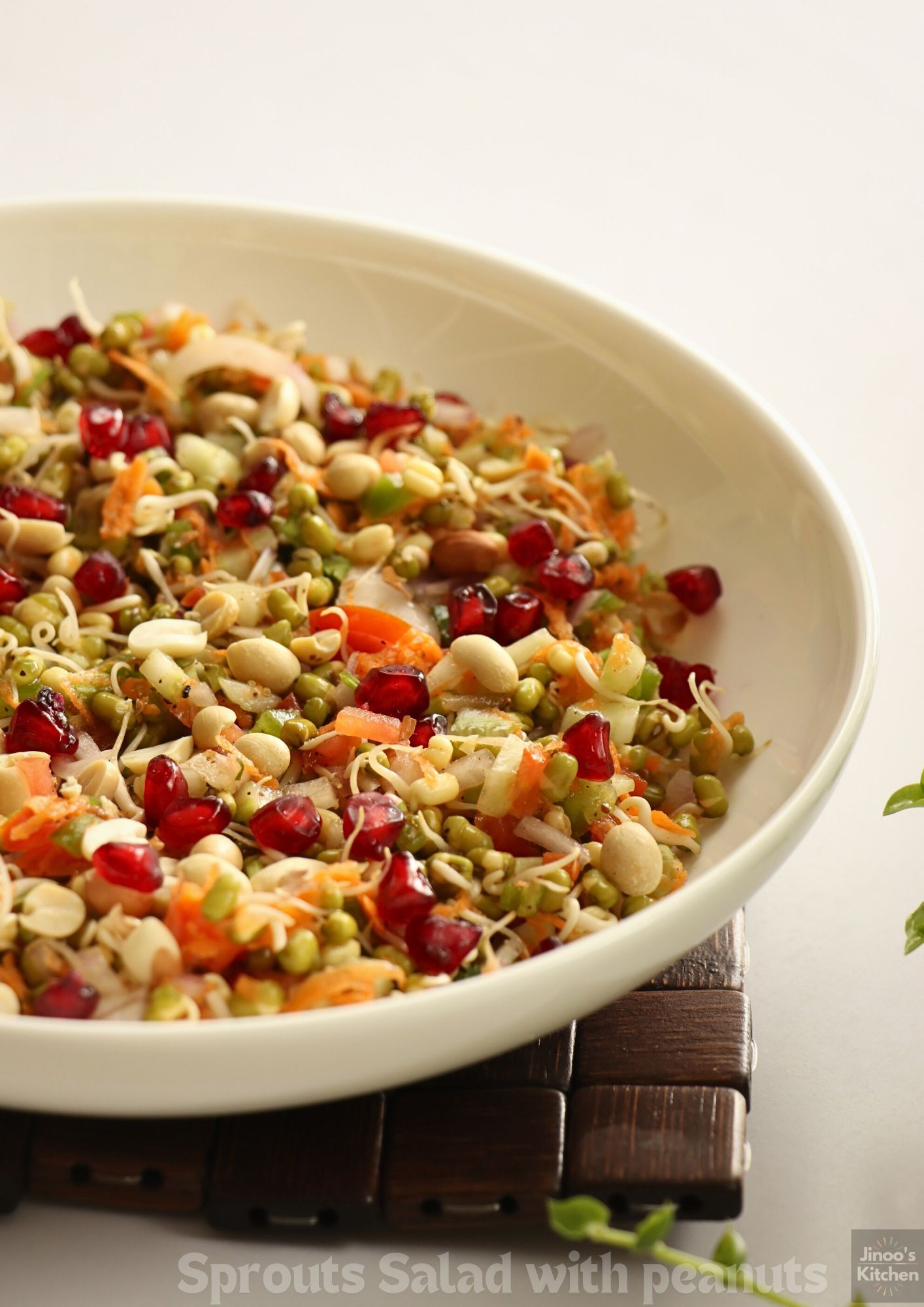 Mung Bean Sprouts Salad with Peanuts | 28 Days Salad Challenge #Salad ...